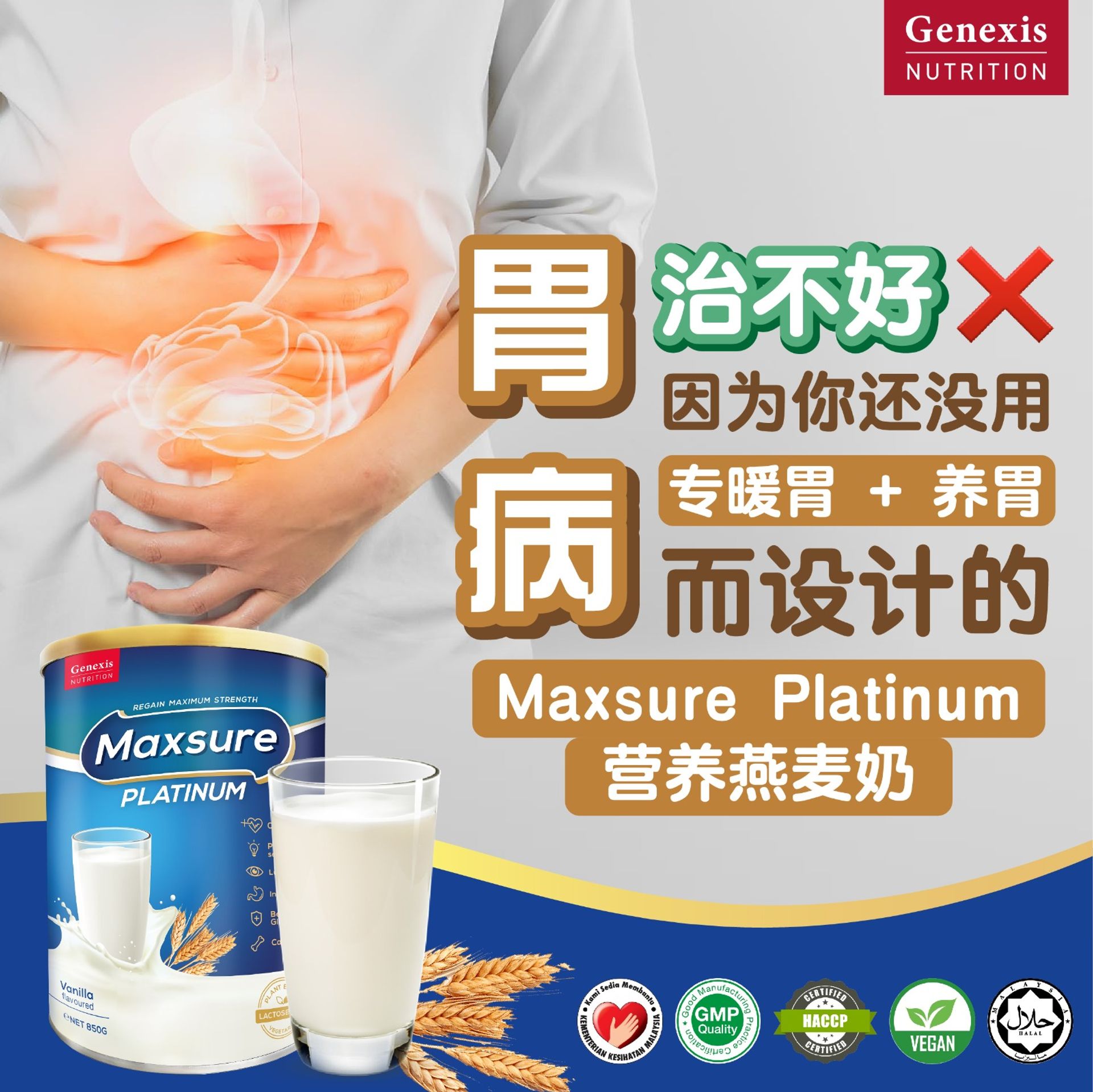 Maxsure Platinum 营养燕麦奶有效帮助改善肠胃问题。